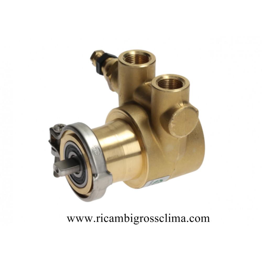 Buy ROTOFLOW Volumetric Pump ø 3/8" NPT 200 l/h