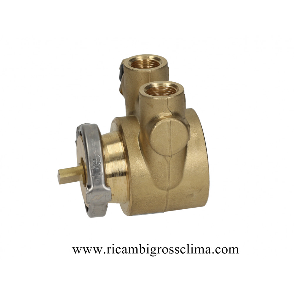 Buy ROTOFLOW Volumetric Pump ø 3/8" GAS/BSP 50 l/h